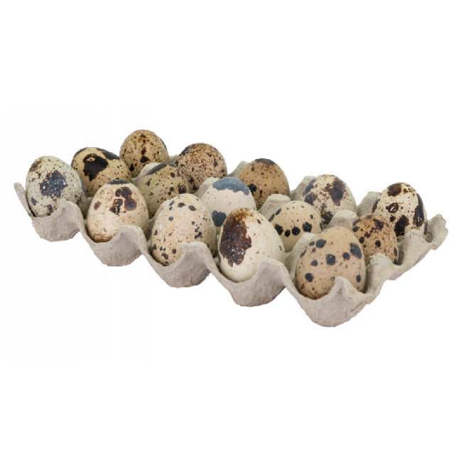 Buy Telur Burung (Quail Eggs) 15pcs | SuzyAmeer Online